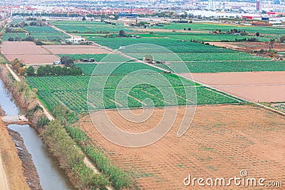 Aerial View Of Agricultural Area With Multiple Rectangular Fields Stock ...
