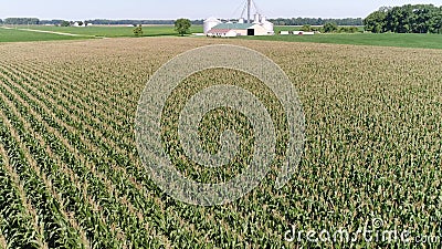 Aerial View Flying Over Corn and Soybean Fields and Farms Smyrna ...