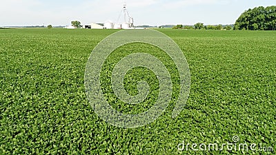Aerial View Flying Over Corn and Soybean Fields and Farms Smyrna ...