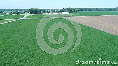 Aerial View Flying Over Corn and Soybean Fields and Farms Smyrna ...