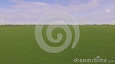 Aerial View of a Grass Field Stock Footage - Video of crop, tracks ...