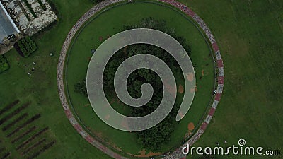 Aerial View of Lush Tree Growing in Circle Stock Footage - Video of ...