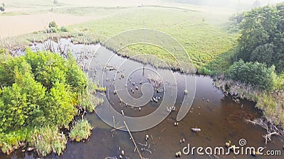 Aerial view of swamp stock footage. Video of delta, national - 78459260