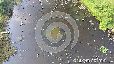 Aerial view of swamp stock video. Video of aerial, nature - 79098641