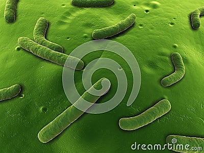 Aeromonas Stock Image - Image: 11953821