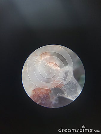 Agate Stone Under A Microscope. Stock Photo | CartoonDealer.com #242553096