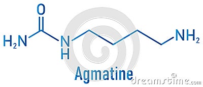 Agmatine Or 4-aminobutylguanidine Molecule. Skeletal Formula. Chemical ...