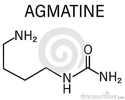 Agmatine Or 4-aminobutylguanidine Molecule. Skeletal Formula. Chemical ...