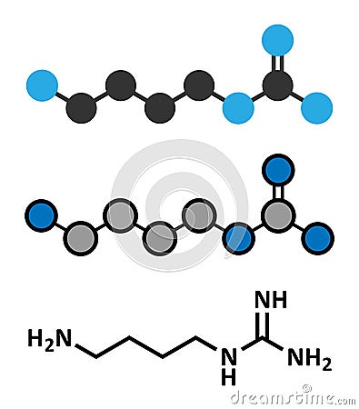 Agmatine Molecule. Stylized 2D Renderings And Conventional Skeletal ...