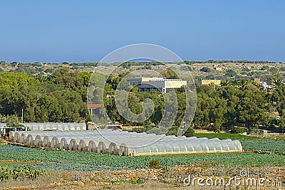 Agriculture In Malta Stock Photo - Image: 62564592