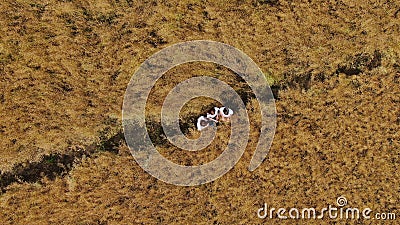 Scientists with Tablet Pc and Microscope in Lab Stock Video - Video of ...