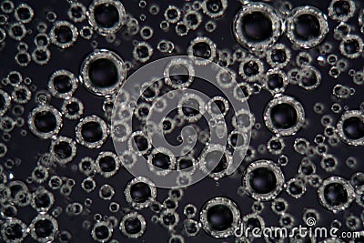 Air Bubbles In A Surfactant Fluid Under A Microscope And In Polarized ...