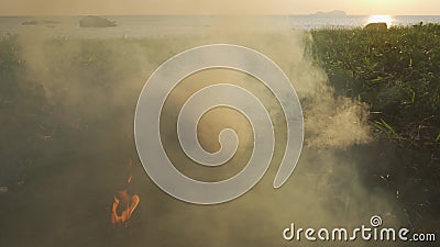 Air Pollution by Open Burning of Waste Stock Footage - Video of field ...