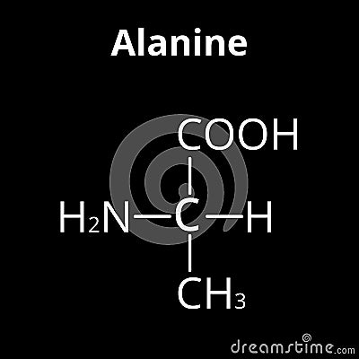 Alanine Is An Amino Acid. Chemical Molecular Formula Alanine Amino Acid ...