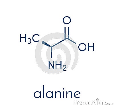 Alanine L-alanine, Ala, A Amino Acid Molecule. Skeletal Formula. Vector ...