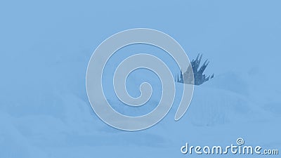 Alien Craft in Arctic Landscape with Snow Falling Stock Footage - Video ...