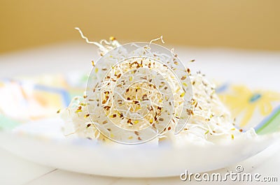 Alpha Alpha Sprouts Royalty Free Stock Photo - Image: 28891485