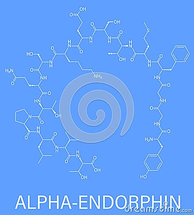 Alpha-endorphin Molecule. Skeletal Formula. Vector Illustration ...