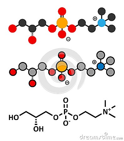 Alpha-GPC (L-Alpha Glycerylphosphorylcholine, Choline Alfoscerate ...