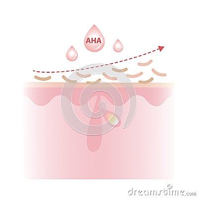 Alpha Hydroxy Acids Characteristics Vector Illustration Isolated On ...