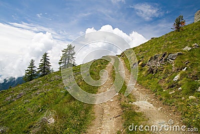 Alpine Track Stock Photo | CartoonDealer.com #2619666
