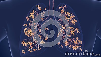 Alveoli Supporting Breathing Inside Human Lung Structure Royalty-Free ...