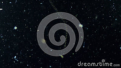 Underwater Scene with Floating Particles Plankton and Tiny Marinelife ...