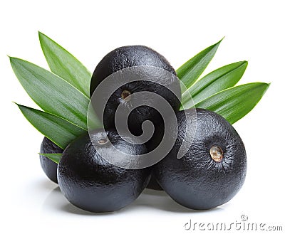 Amazon Acai Fruit With Leaf Stock Photo - Image: 44305657