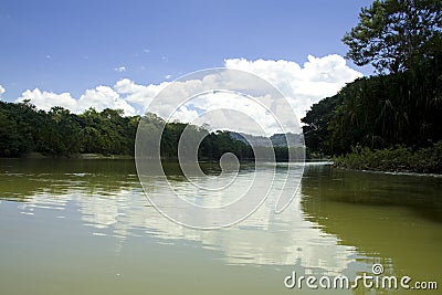 Deep in the Amazon Jungle stock photo. Image of south - 97421424