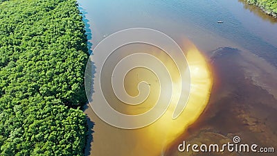 Amazon River Scene Landscape. Scenic Amazon Rainforest Natural Forest ...