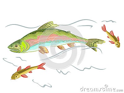 American Rainbow Trout Predator Catch A Fish In Th Vector Illustration ...