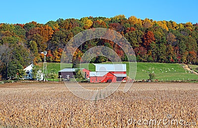 Amish Farm Barn and Equipment 001 Stock Image - Image of barn, country ...