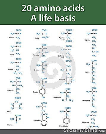 Amminoacidi Immagine Stock - Immagine: 16624621