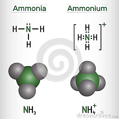 Ammonium Cation, NH4 And Ammonia, NH3 Molecule. Structural Chemical ...