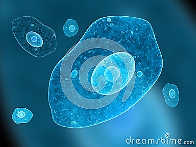 Amoeba Stock Illustration - Image: 51573081