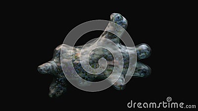 Amoeba Proteus Cell Royalty-Free Stock Photography | CartoonDealer.com ...