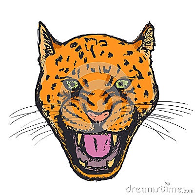 Amur Leopard Roar Face Or Head. Hand Drawn Leopard Head Animal Or ...
