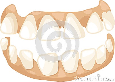 Anatomy Teeth Vector | CartoonDealer.com #21028813
