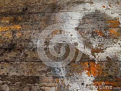 Ancient Wood Texture Royalty-Free Stock Photo | CartoonDealer.com #40023309