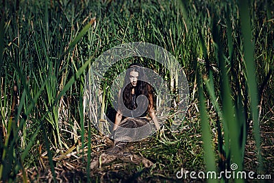 Angry Dangerous Mermaid Sitting In Cane Stock Photography ...