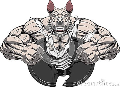 Angry Dog Bodybuilder Cartoon Vector | CartoonDealer.com #85754131