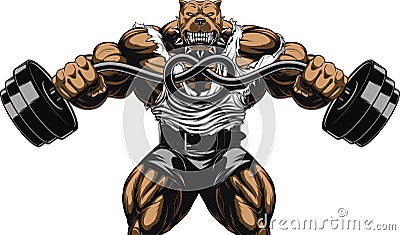 Angry Dog Bodybuilder Vector Illustration | CartoonDealer.com #86648694