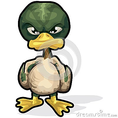 Angry Duck With Clipping Path Royalty Free Stock Images - Image: 620949