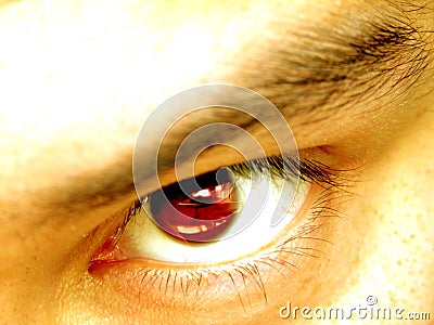 Angry Eye Royalty Free Stock Photography - Image: 10207