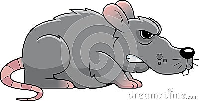 Angry Rat Stock Photos - Image: 16384263