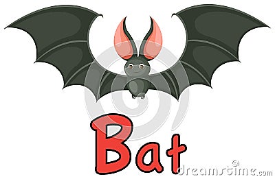 Animal Alphabet B For Bat Stock Photo - Image: 13747370
