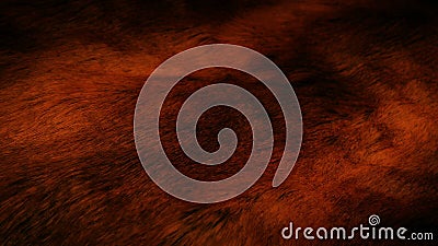 Animal Fur Illuminated in Firelight Stock Video - Video of skin, furs ...