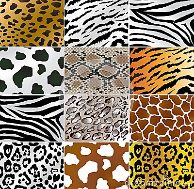 Animal Skins Royalty Free Stock Photography - Image: 8682307