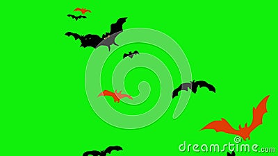 Animated Bat Flying with Green Screen Background Stock Video - Video of ...