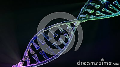 Animated DNA Chain Model. 3D Stock Footage - Video of evolution, helix ...